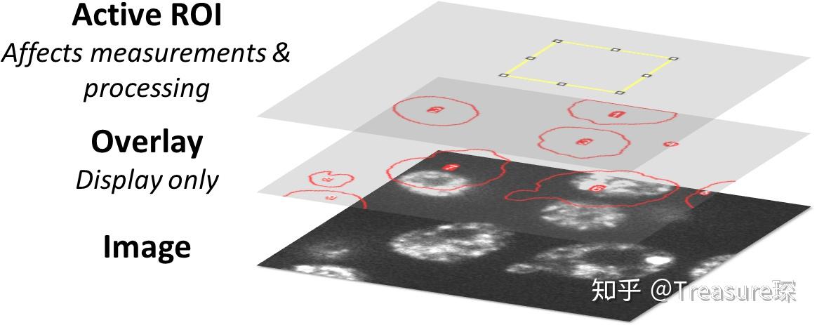 ImageJ实用技巧——图像标注(基本功能篇) - 知乎