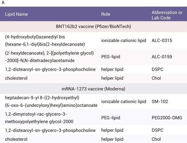 药物递送之脂质纳米颗粒 | MedChemExpress - 知乎