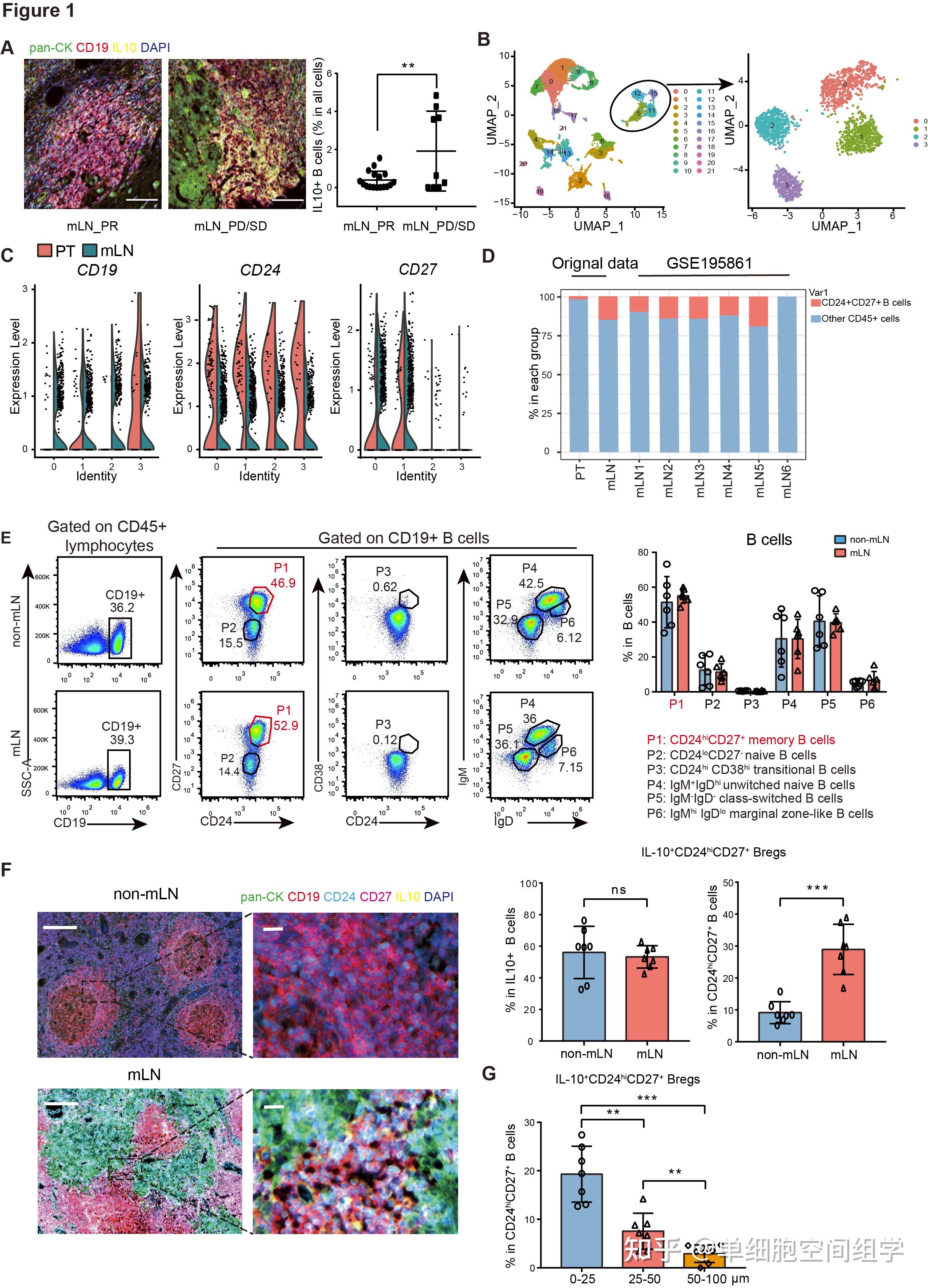 Tissue Cytometry技术为转移性淋巴结中的CD24hiCD27+Bregs促进癌症的耐药性研究提供关键性验证数据 - 知乎