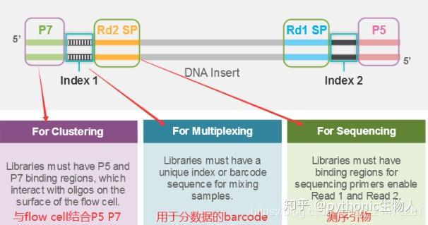 NGS测序基础01-文库构建（Library Preparation） - 知乎