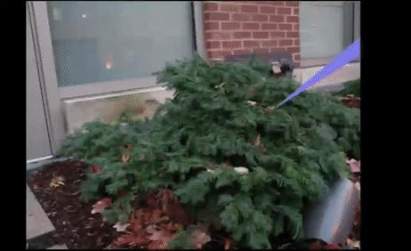 【AI论文学习笔记】【CVPR 2024 最佳论文】生成图像动力学 Generative Image Dynamics - 知乎