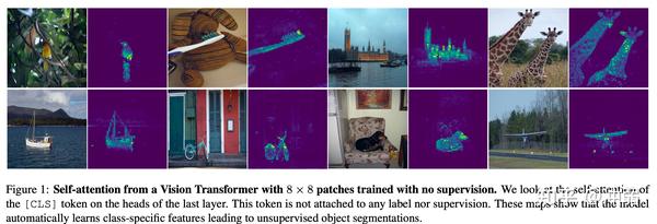 一篇文章搞懂iBOT - 知乎