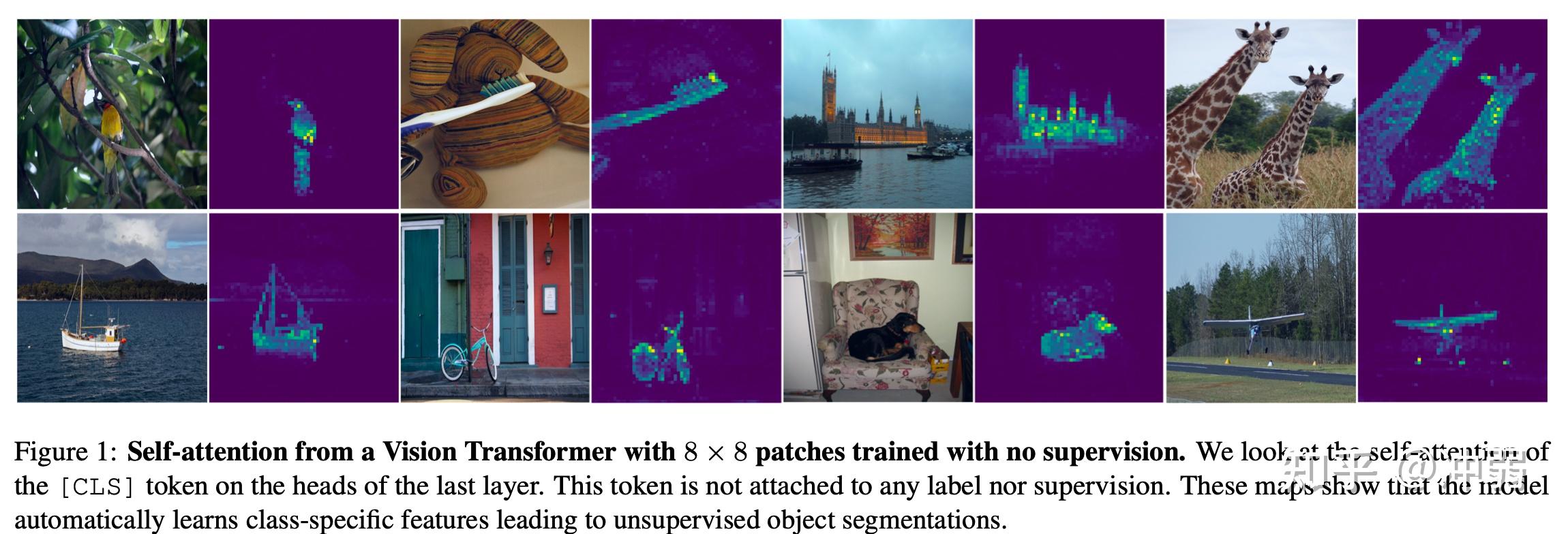 一篇文章搞懂iBOT - 知乎