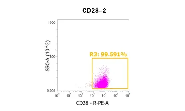 T细胞激活因子-CD28单克隆抗体（CD28mAb） - 知乎