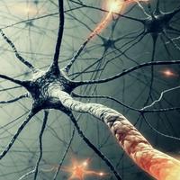 GM-Flow及主要代码实现 - 知乎