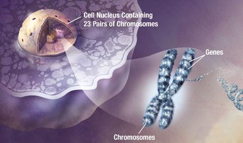 DNA背后的“黑暗女神”，她才是DNA结构的真正发现者，却被遗忘了半个世纪 - 知乎