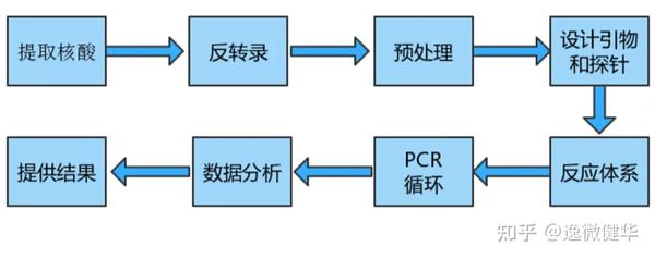 qPCR原理讲解和试验步骤以及“常见问题和数据结果差异分析全面讲解” - 知乎