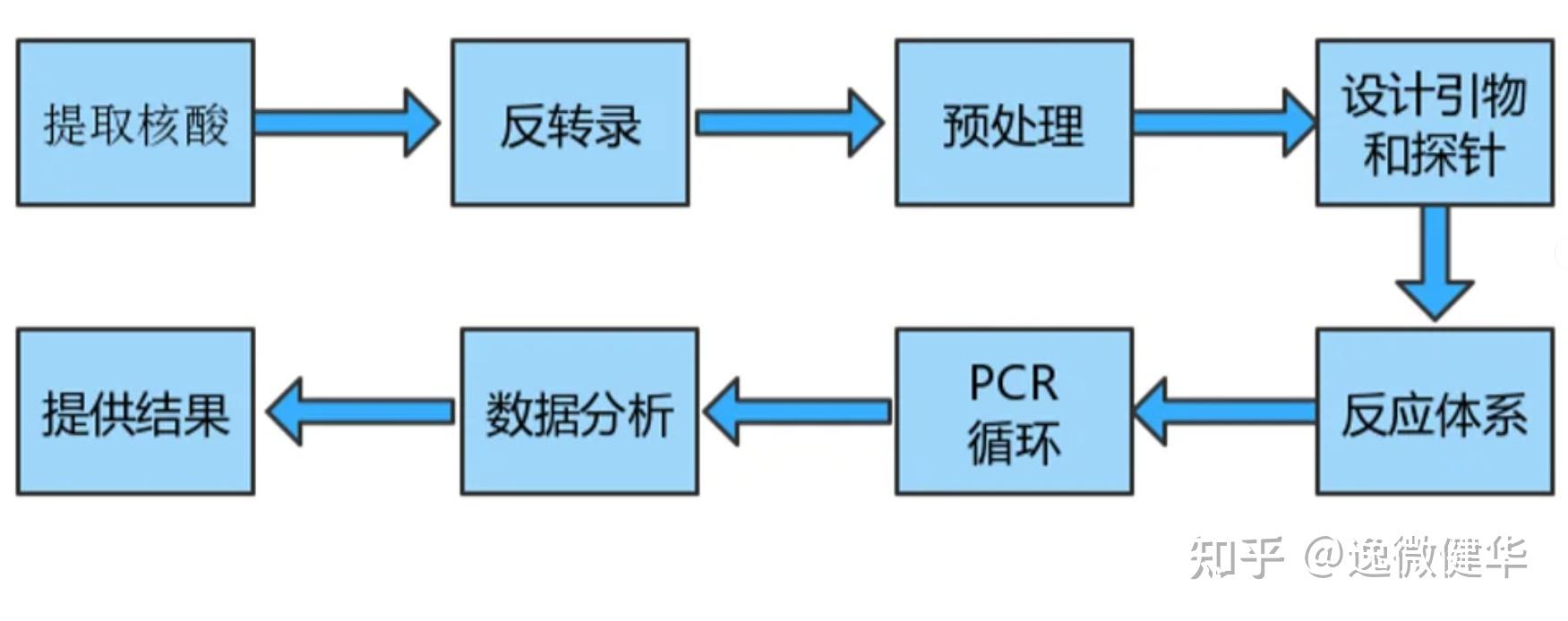 qPCR原理讲解和试验步骤以及“常见问题和数据结果差异分析全面讲解” - 知乎