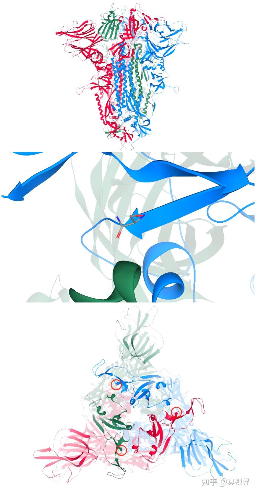 了解新型冠状病毒变异株JN.1 - 知乎