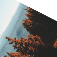 TinyDB 一个纯Python编写的轻量级数据库 - 知乎