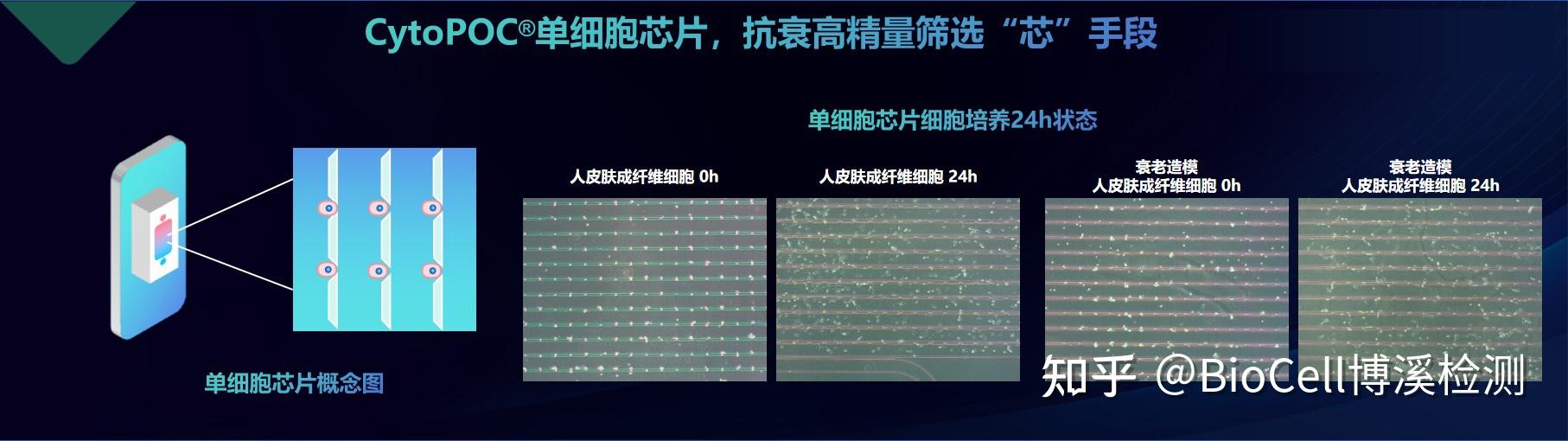 演讲实录|崔本文：微流控细胞与器官芯片在紧致抗皱功效方向的测评应用 - 知乎