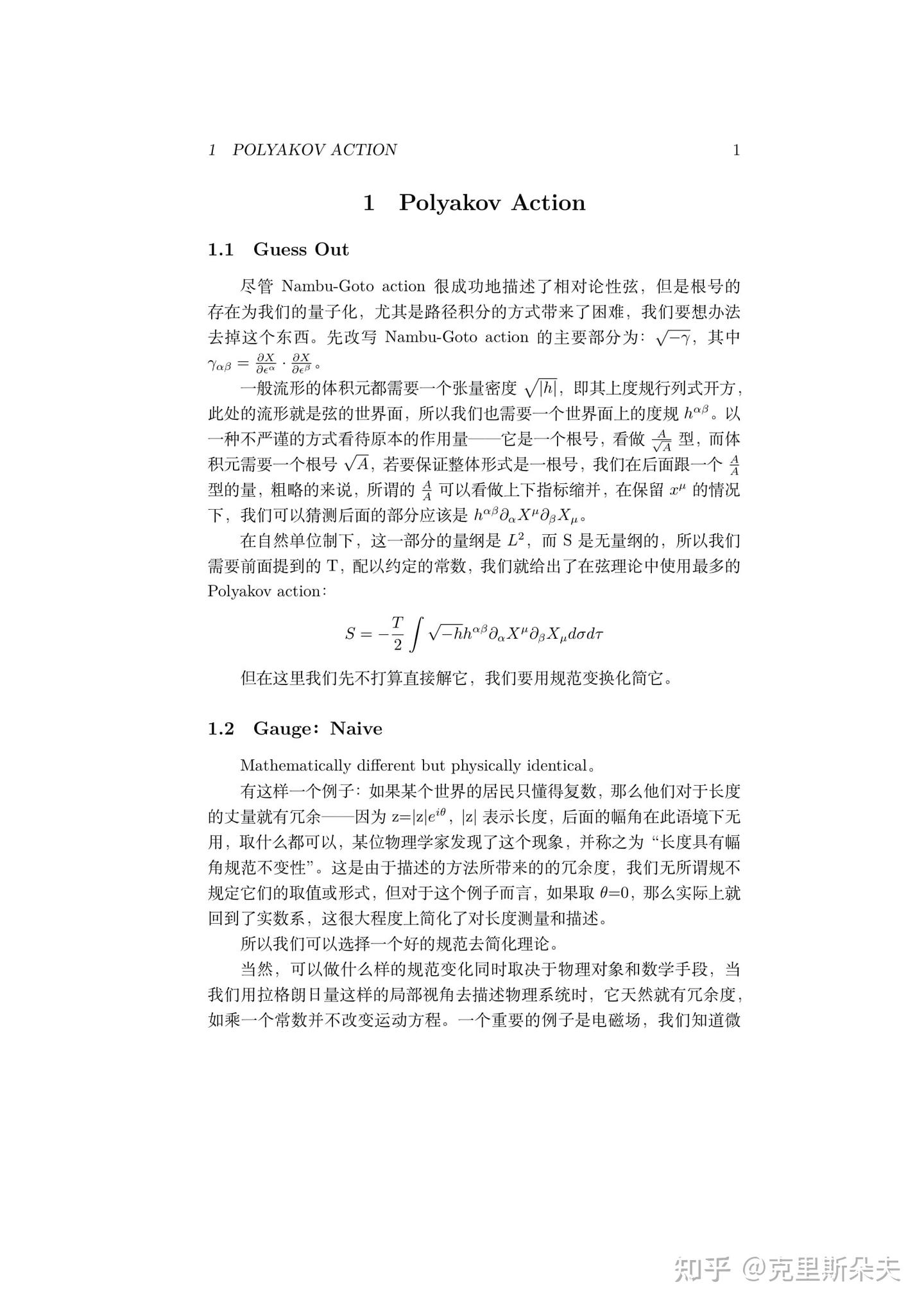 Mr.Polyakov - 知乎