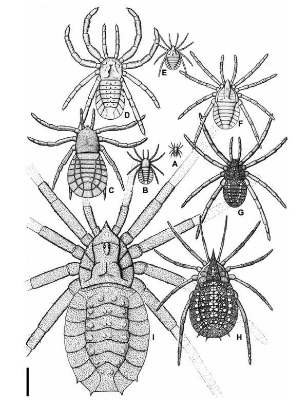 【地球演义】铁虿狰狞6：水陆并进 - 知乎