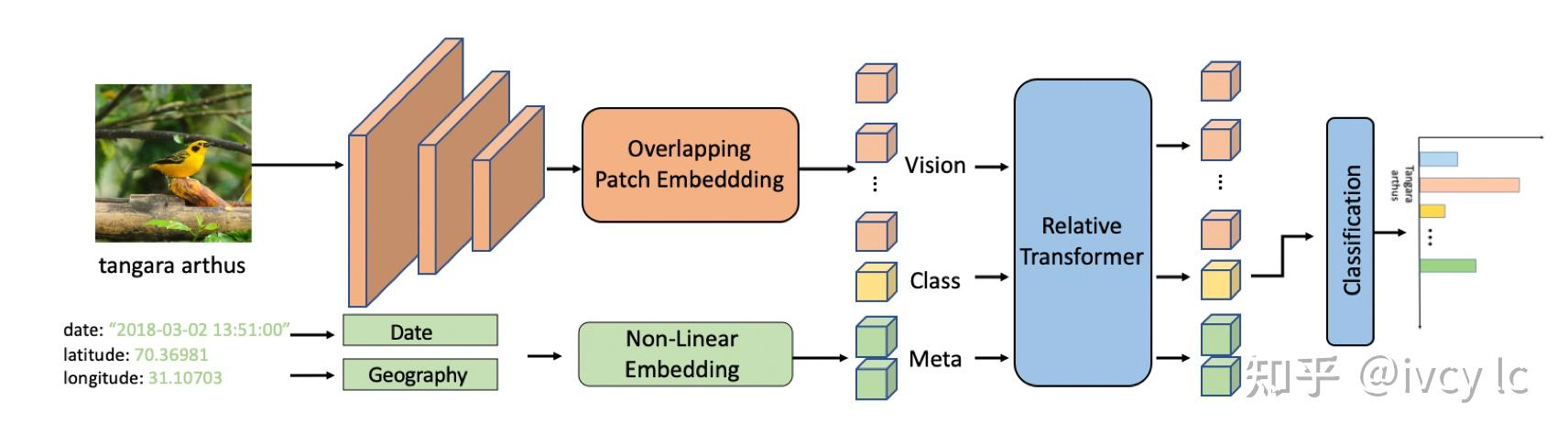 Metaformer in FGVC - 知乎