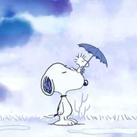 BIOMOD2从理论到实践：物种分布模型（SDMs）构建和评估；生物多样性保护、气候变化影响评估和入侵物种管理等 - 知乎