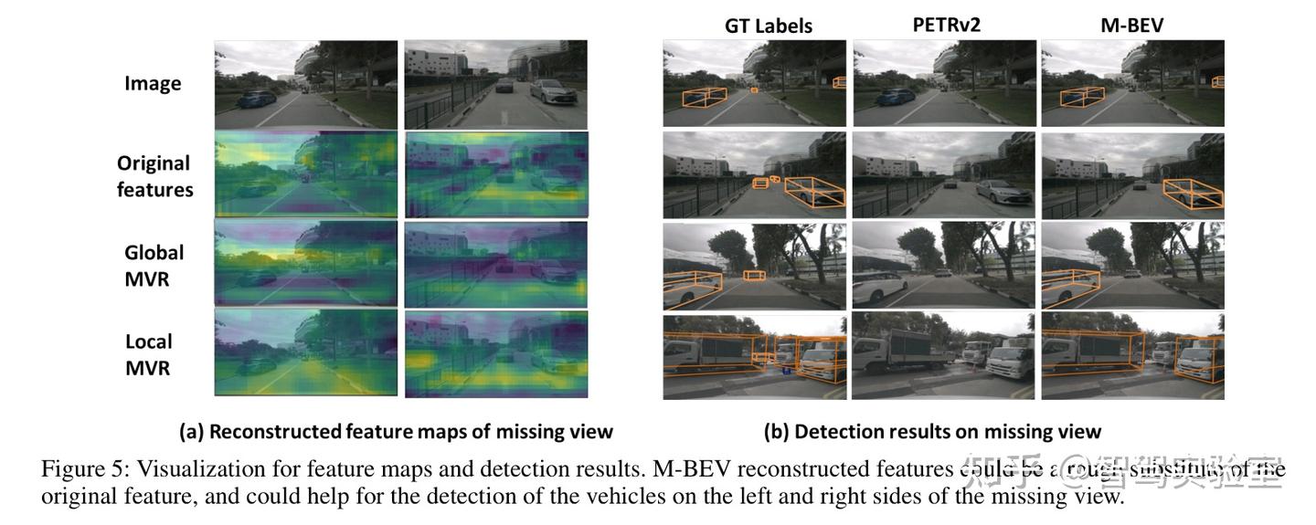 清华大学提出M-BEV | 环视相机坏了别担心，随机Mask BEV方法（即插即用MVR）将PETRv2模型提高了10.3%的mAP - 知乎