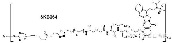 国内外知名企业ADC技术平台(第三期, 宜联生物&科伦博泰&映恩生物) - 知乎