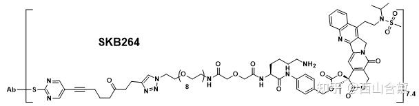 国内外知名企业ADC技术平台(第三期, 宜联生物&科伦博泰&映恩生物) - 知乎