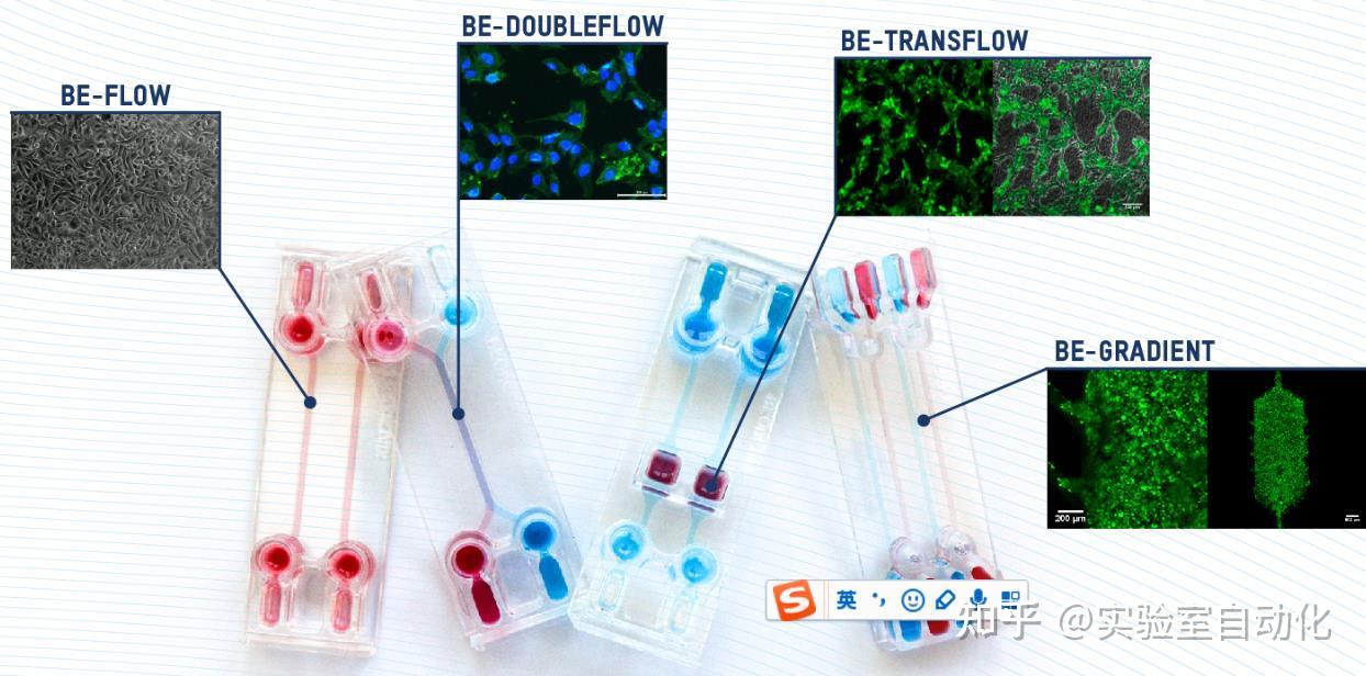 BEOnChip 细胞培养微流控芯片 - 知乎