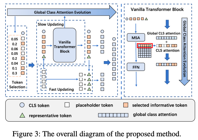 CVPR2023 Making Vision Transformers Efficient from A Token Sparsification View - 知乎