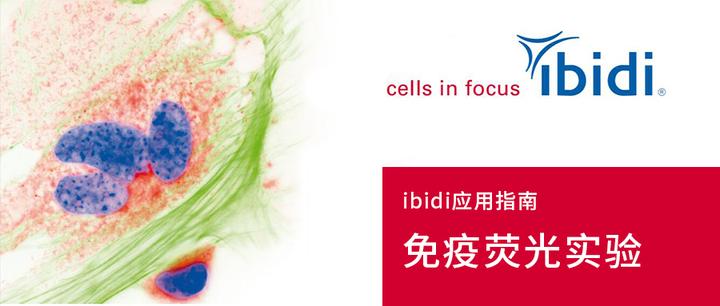 ibidi应用指南|免疫荧光实验 - 知乎