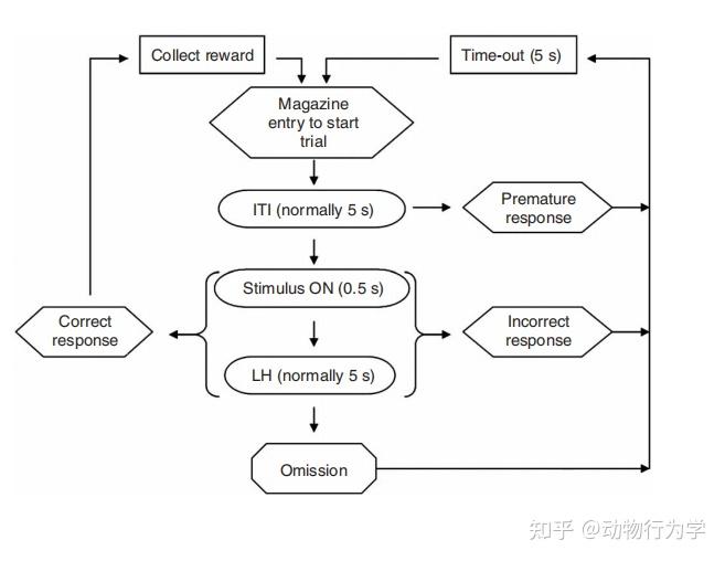 5选择连续反应时间任务(5CSRT) 5-Choice Serial Reaction Time Task （以大鼠为例） - 知乎