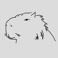 Docker X ROS2：从入门到入土 - 知乎