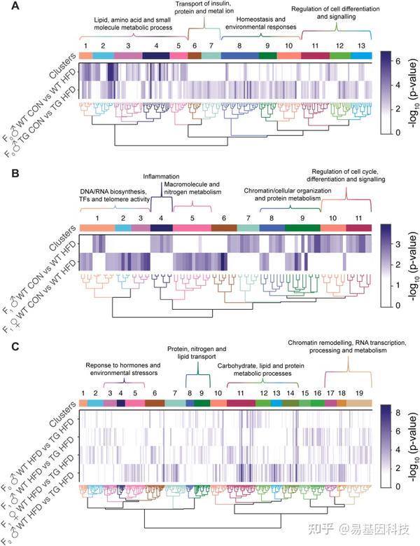 易基因｜表观发育：ChIP-seq揭示精子H3K4me3可传递到胚胎并与代谢功能障碍遗传有关 - 知乎