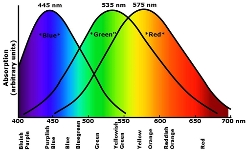 Understanding Image Sensor Metamerism - 知乎