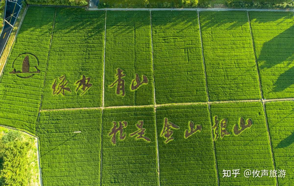 安吉余村被评为世界最佳旅游乡村，有什么好玩的推荐？ 知乎