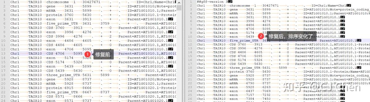 贴心 | GXF Fix 修复 / 优化基因结构注释信息文件 - GTF/GFF3 - 知乎