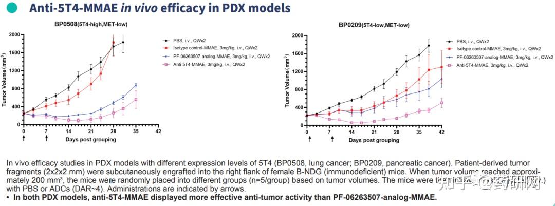 ADC新靶点: TPBG（5T4） - 知乎