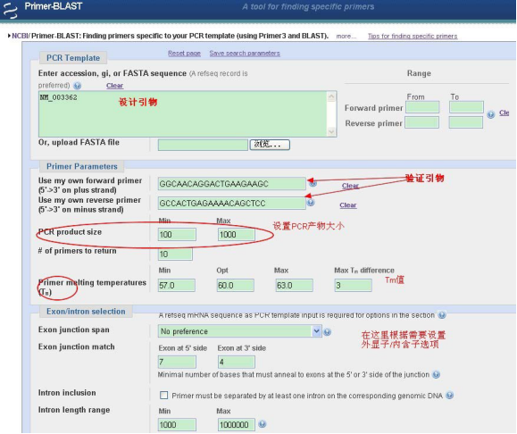 Primer-BLAST：NCBI的引物设计和特异性检验工具 - 知乎