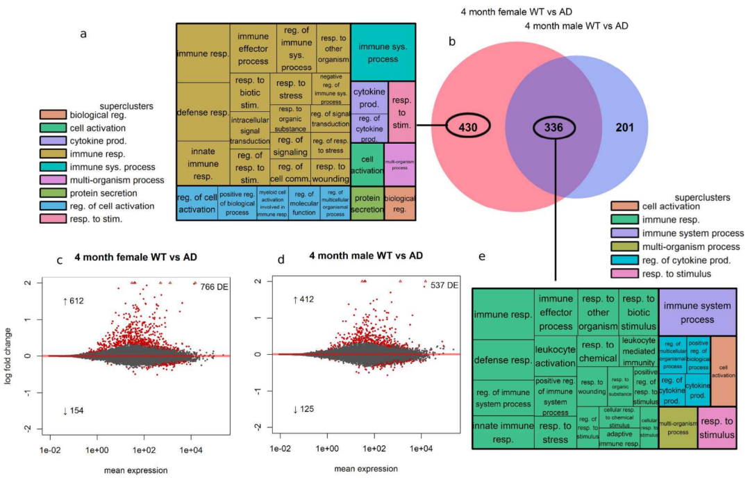 5xFAD小鼠|AD模型 - 知乎