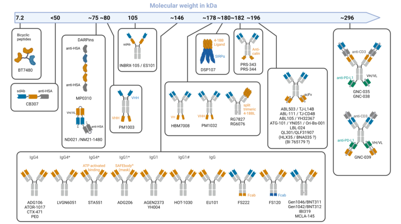 新一代4-1BB激动剂的开发 ：旨在更安全、有效 - 知乎