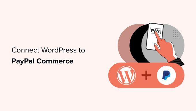 如何将WordPress连接到PayPal商务 - 知乎