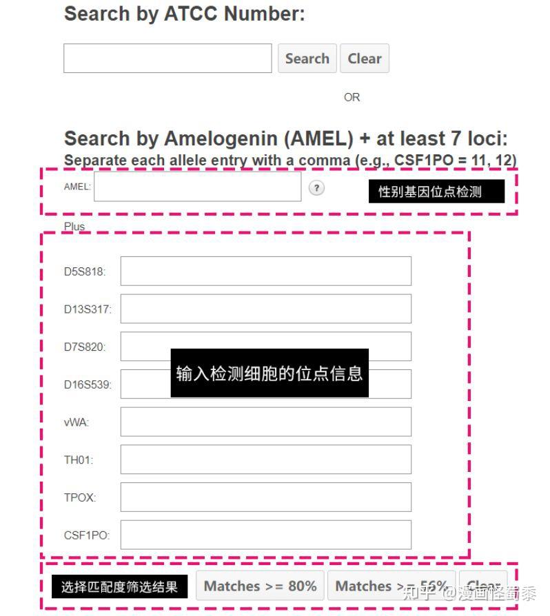 STR鉴定报告数据解读指南 - 知乎