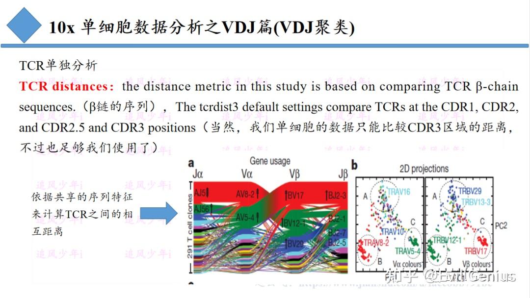 单细胞数据分析之VDJ篇公开课 - 知乎