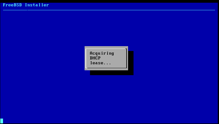 FreeBSD 13.0 安装图解 - 知乎