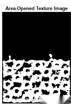【程序】基于matlab使用纹理滤波器对图像进行纹理分割 - 知乎