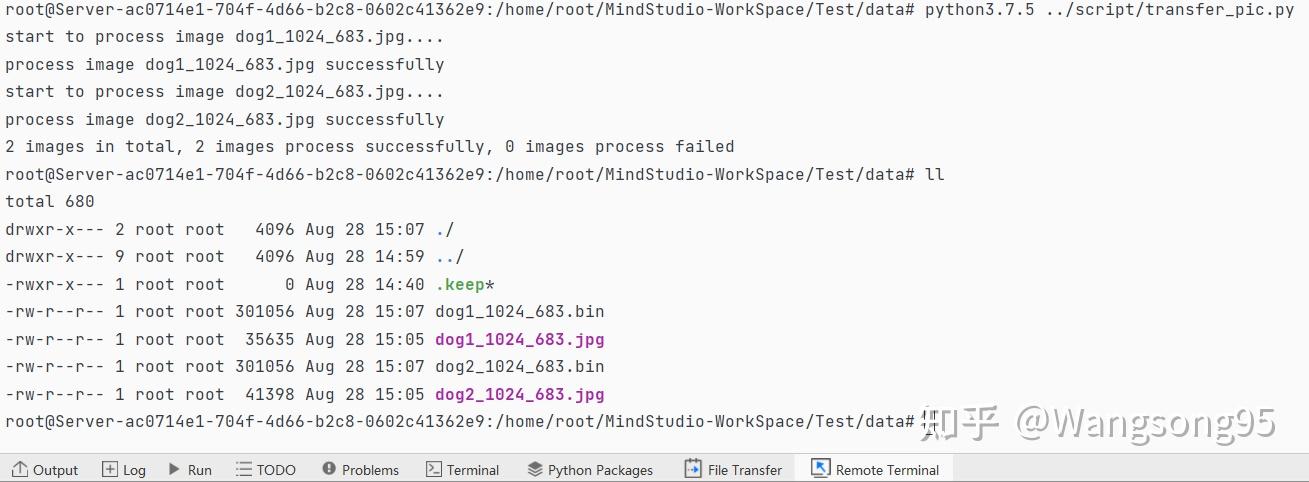 AscendCL应用使用Profiling工具进行性能调优 - 知乎