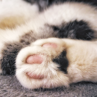 安装scikit-learn （Anaconda Jupyter Notebook） - 知乎