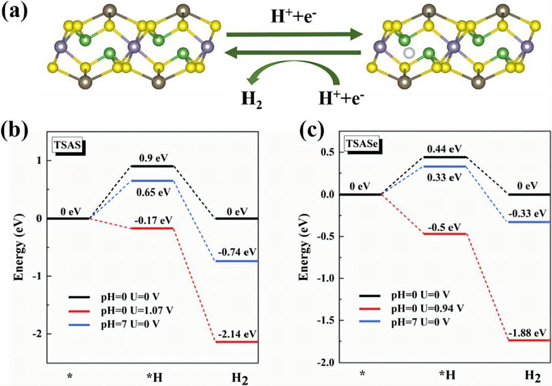 MS计算-CASTEP+DMol3模块阐明光催化剂析氢活性提高机理 - 知乎