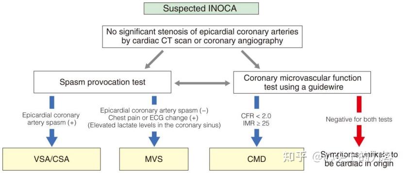 冠脉非阻塞性心梗（MINOCA）仅仅是临时诊断，应进一步查因！日本冠脉痉挛和冠脉微血管功能障碍指南 - 知乎