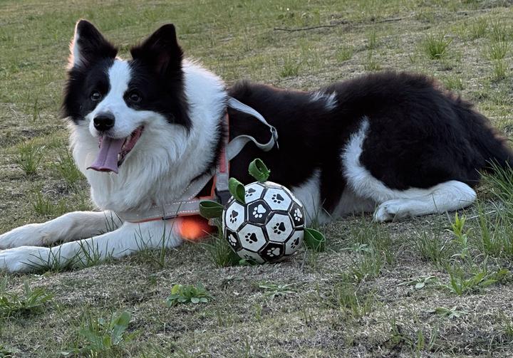 PostgreSQL XLOG（3）——读流程源码解读 - 知乎