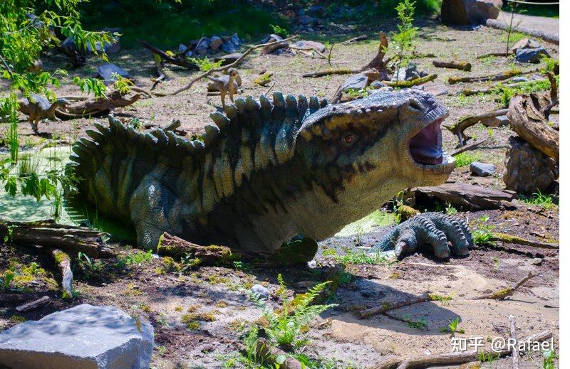 含泪整理最优质爬行动物cc0高清摄影图片素材，你想要的这里都有！ - 知乎