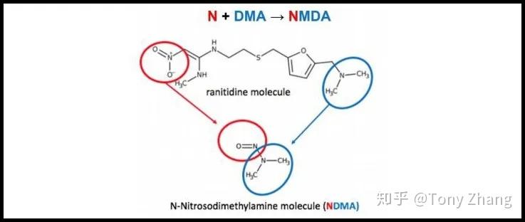 从NDMA基因毒性杂质事件看FDA双标！ - 知乎