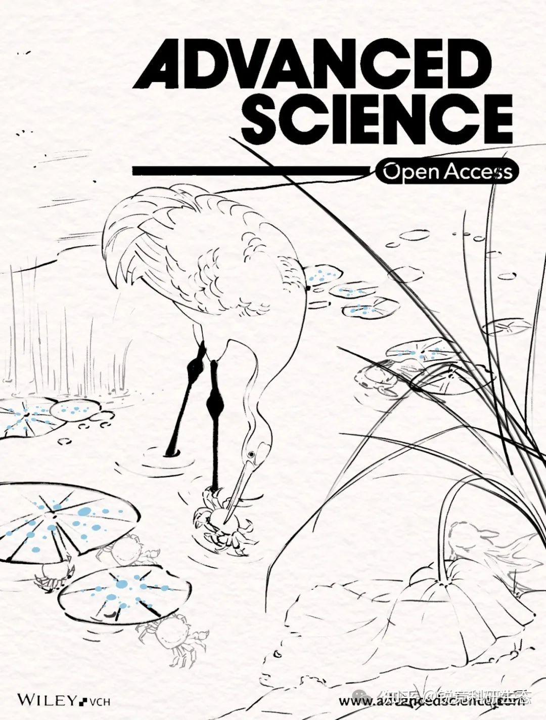 《Advanced Science》封面设计全过程分享 - 知乎