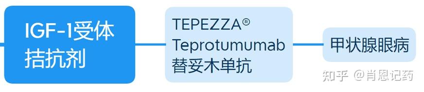 记住治疗甲状腺眼病生物药 | Teprotumumab 替妥木单抗 | 胰岛素样生长因子1受体（IGF-1R）拮抗剂 - 知乎