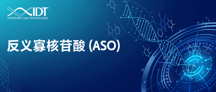 【干货】一文掌握反义寡核苷酸 (ASO) ——功能基因组研究利器 - 知乎